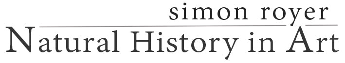 simonroyerartist – simon royer artist