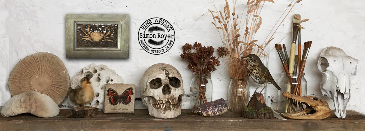 simonroyerartist – simon royer artist