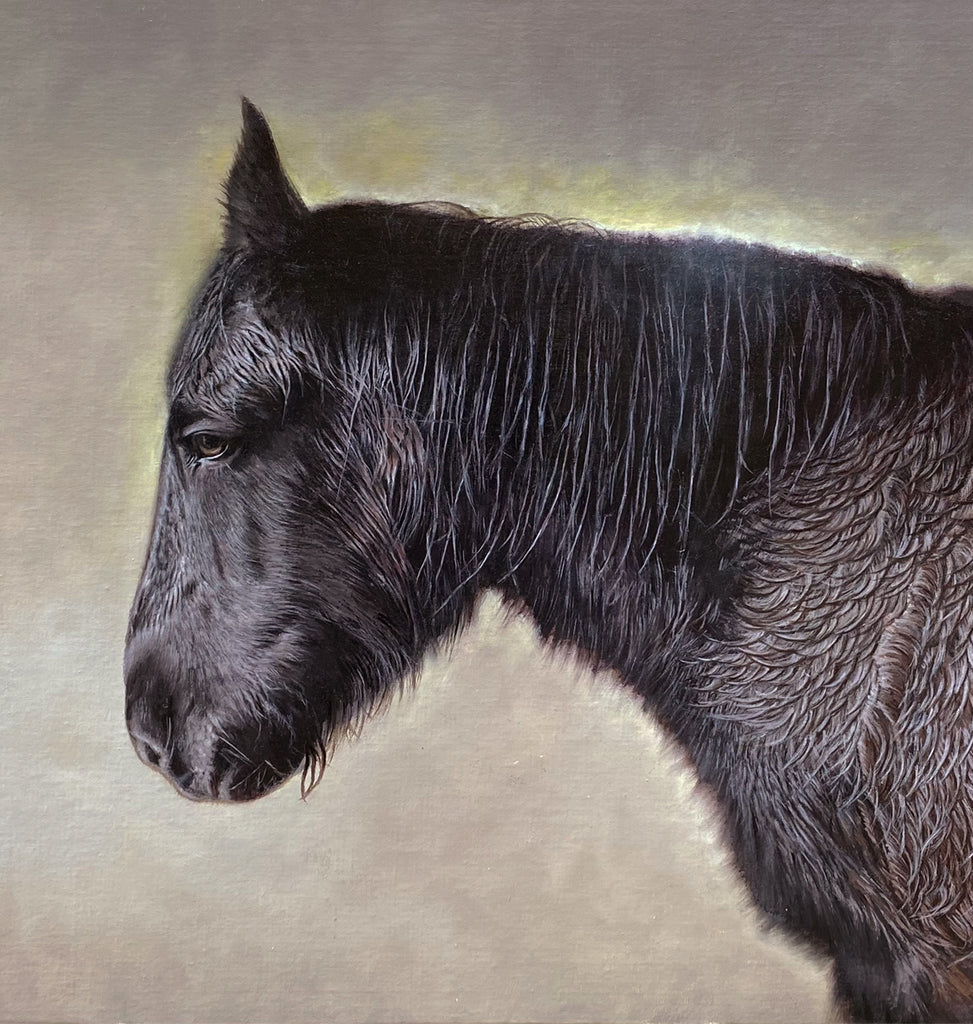 Cadi – simon royer artist