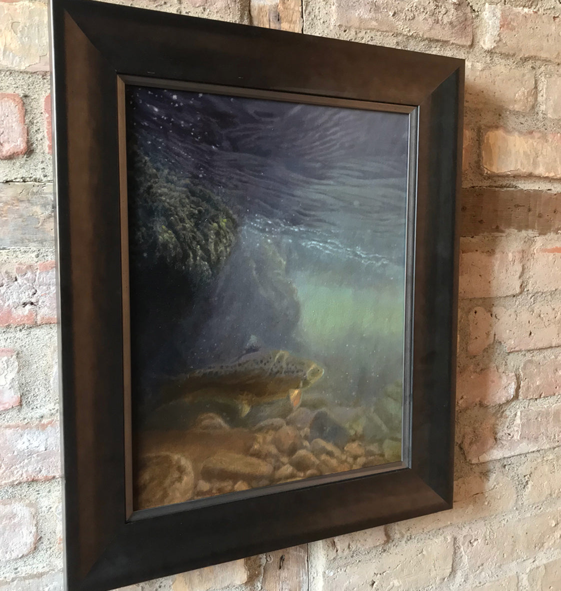 Trout in the River Usk – simon royer artist