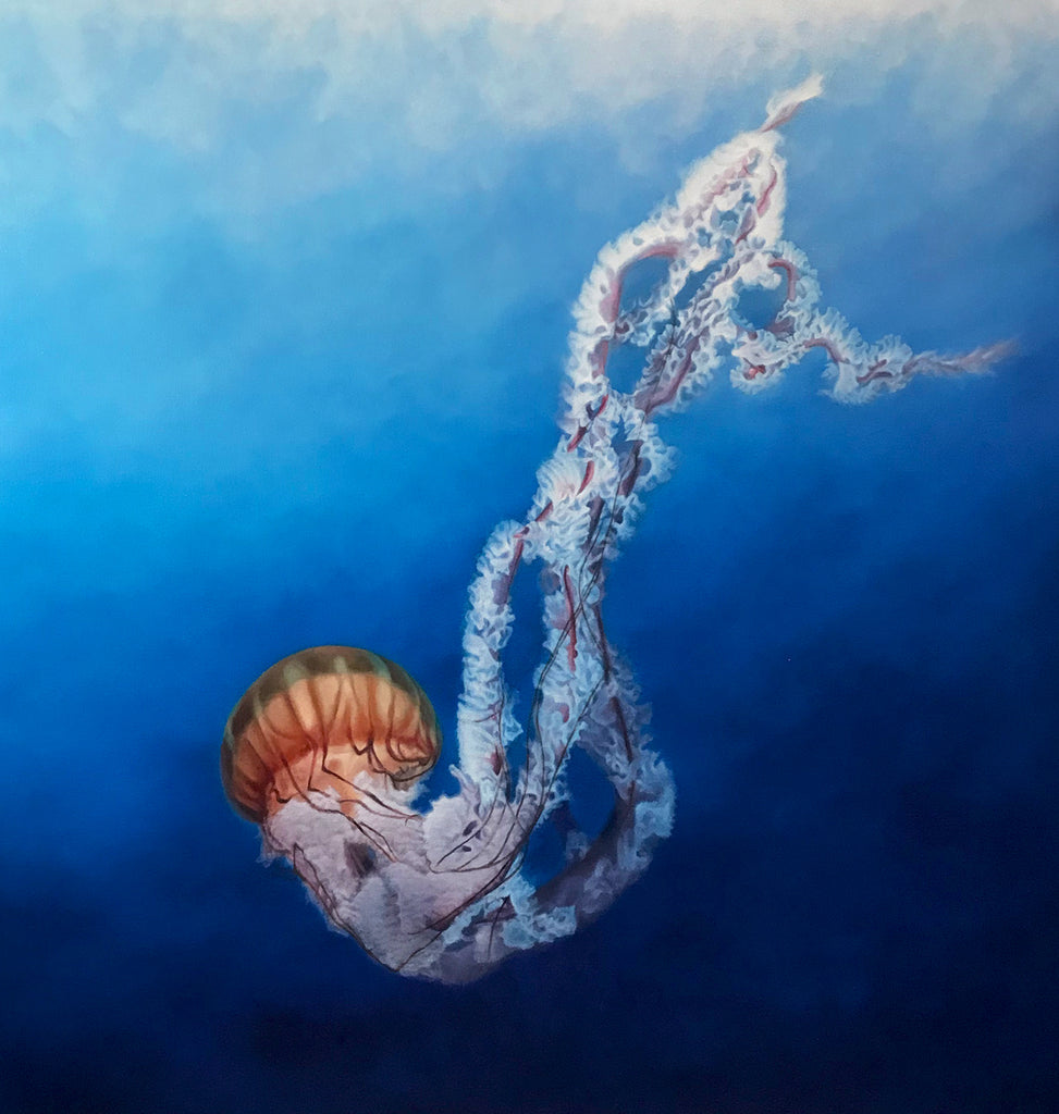 Pacific Sea Nettle Jellyfish