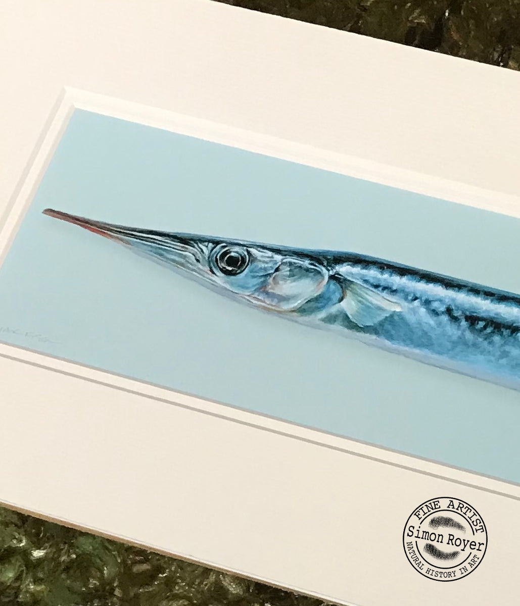 Fish Prints – simon royer artist