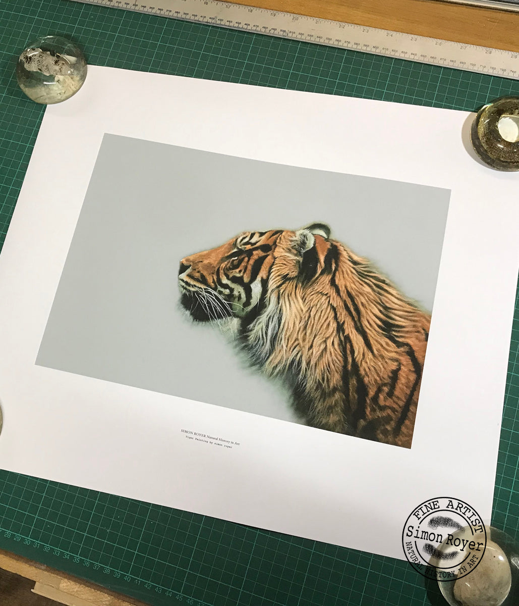Tiger Print – simon royer artist